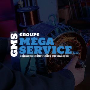 Accueil | Groupe Méga Service